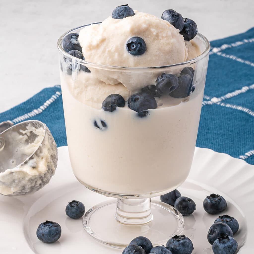 Ninja Creami Vanilla Cottage Cheese Ice Cream - The Seasonal Kitchen